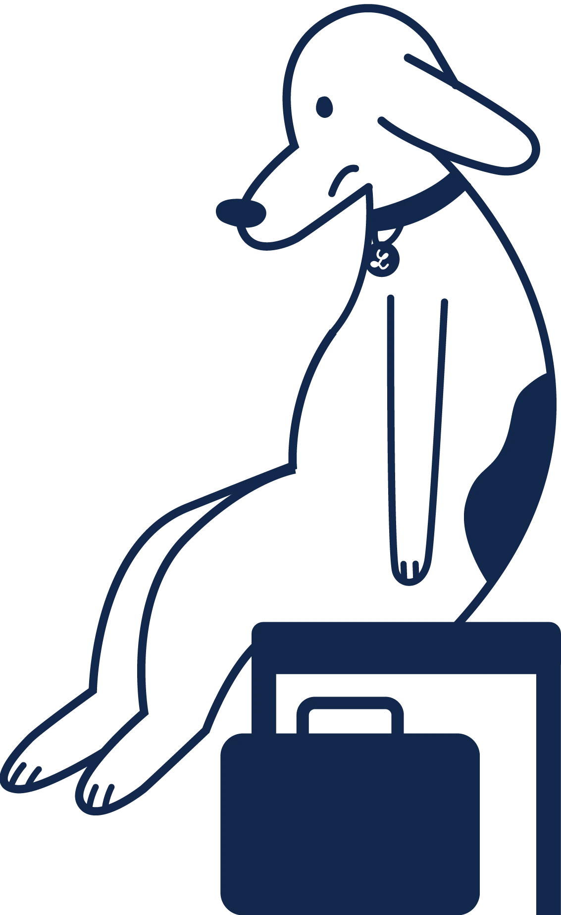 Temporary Pause on US Orders – LOONAWELL